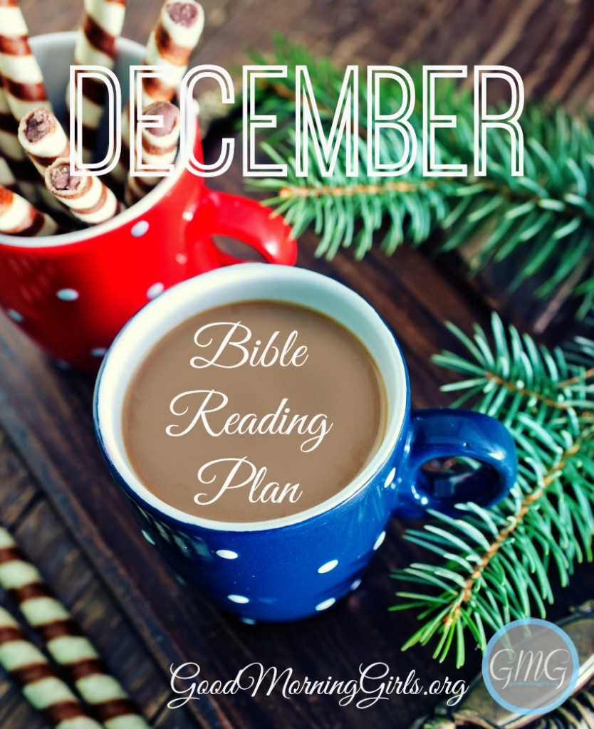 The December Bible Reading Plan - Women Living Well