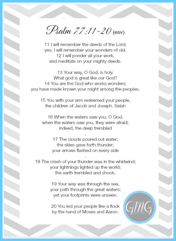 Introducing the Book of Matthew! Are You In? - Women Living Well