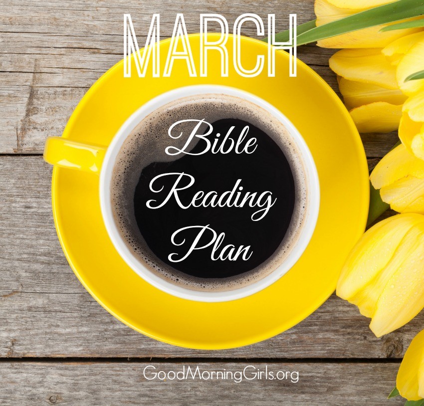 March Bible Reading Plan Intro To Matthew Women Living Well March Bible Reading Plan Intro To Matthew Women Living Well