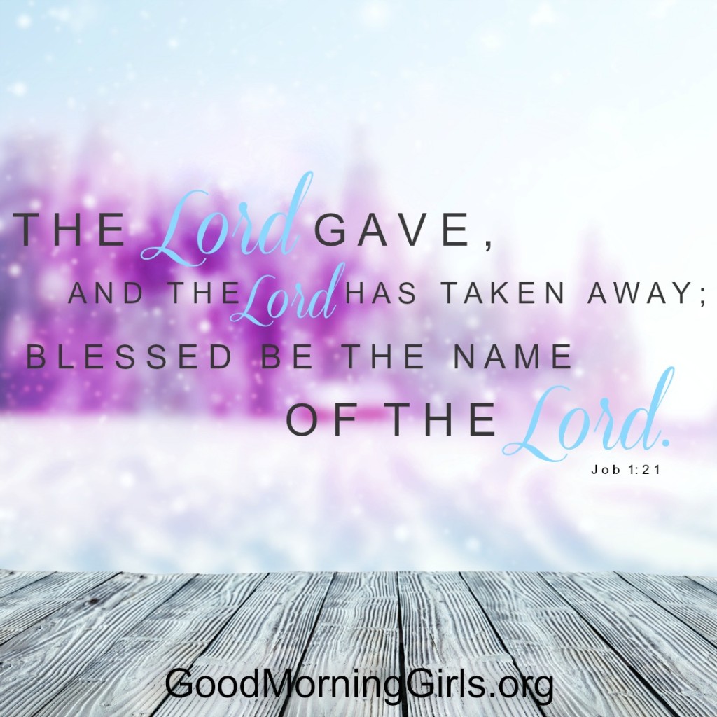 Today We Begin the Book of Job! {Intro and Resources for Job 1-5 ...