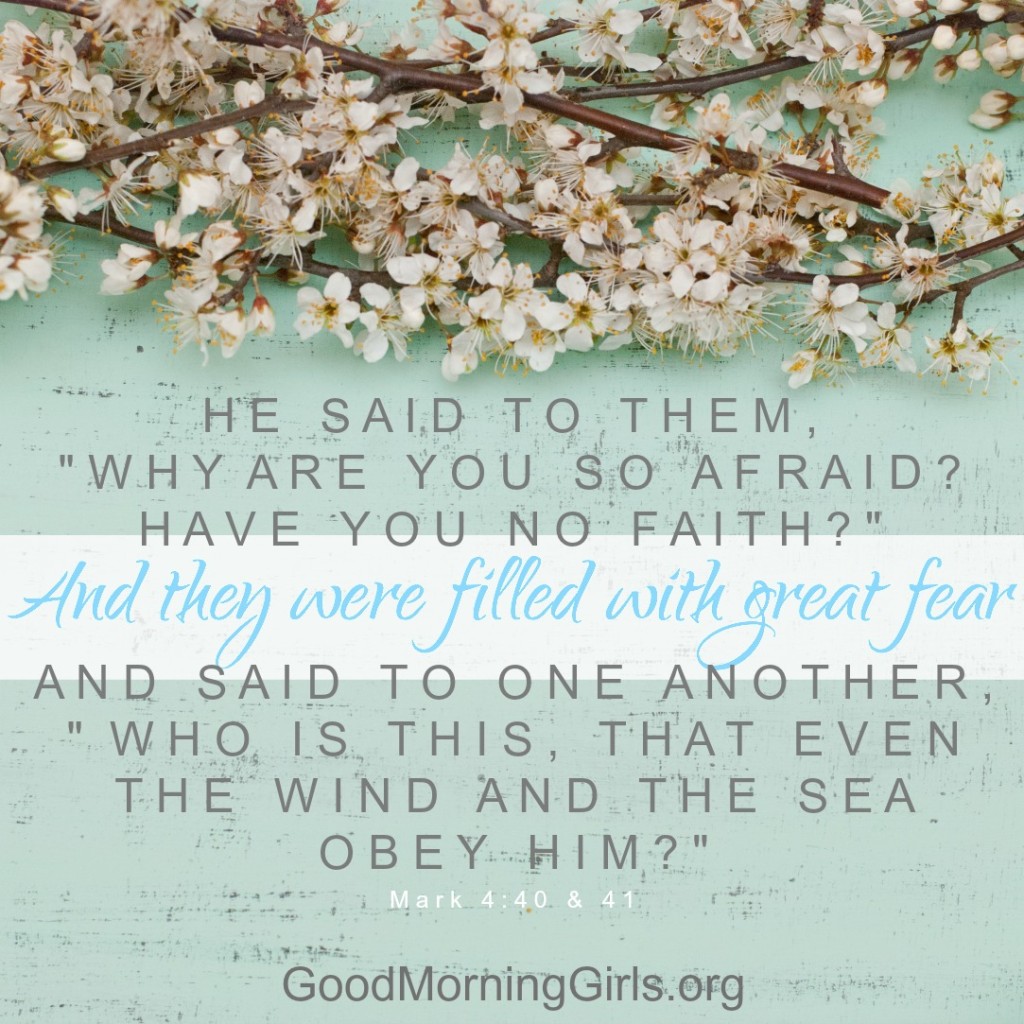 It's Time to Begin the Book of Mark! {Intro and Resources for Mark 1-5 ...