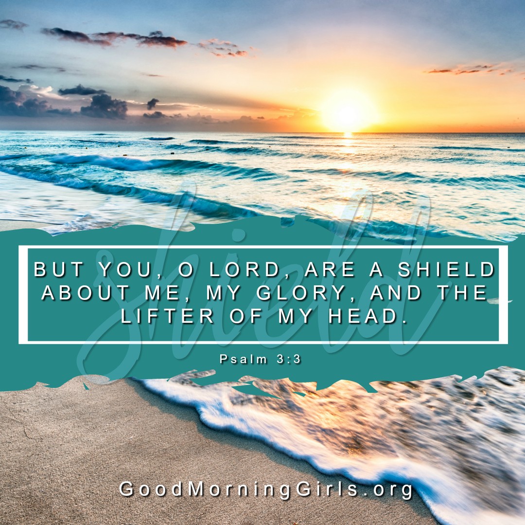 It s Time To Begin Intro And Resources For Psalm 1 5 Women Living Well