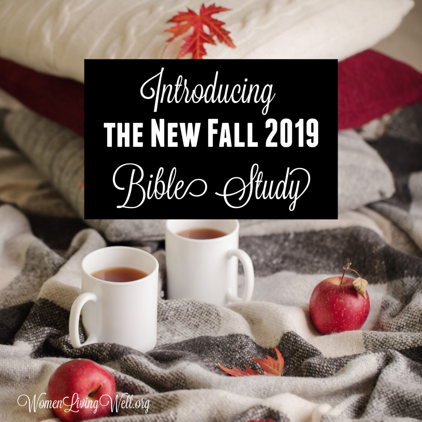 Introducing the New Fall 2019 Bible Study - Women Living Well