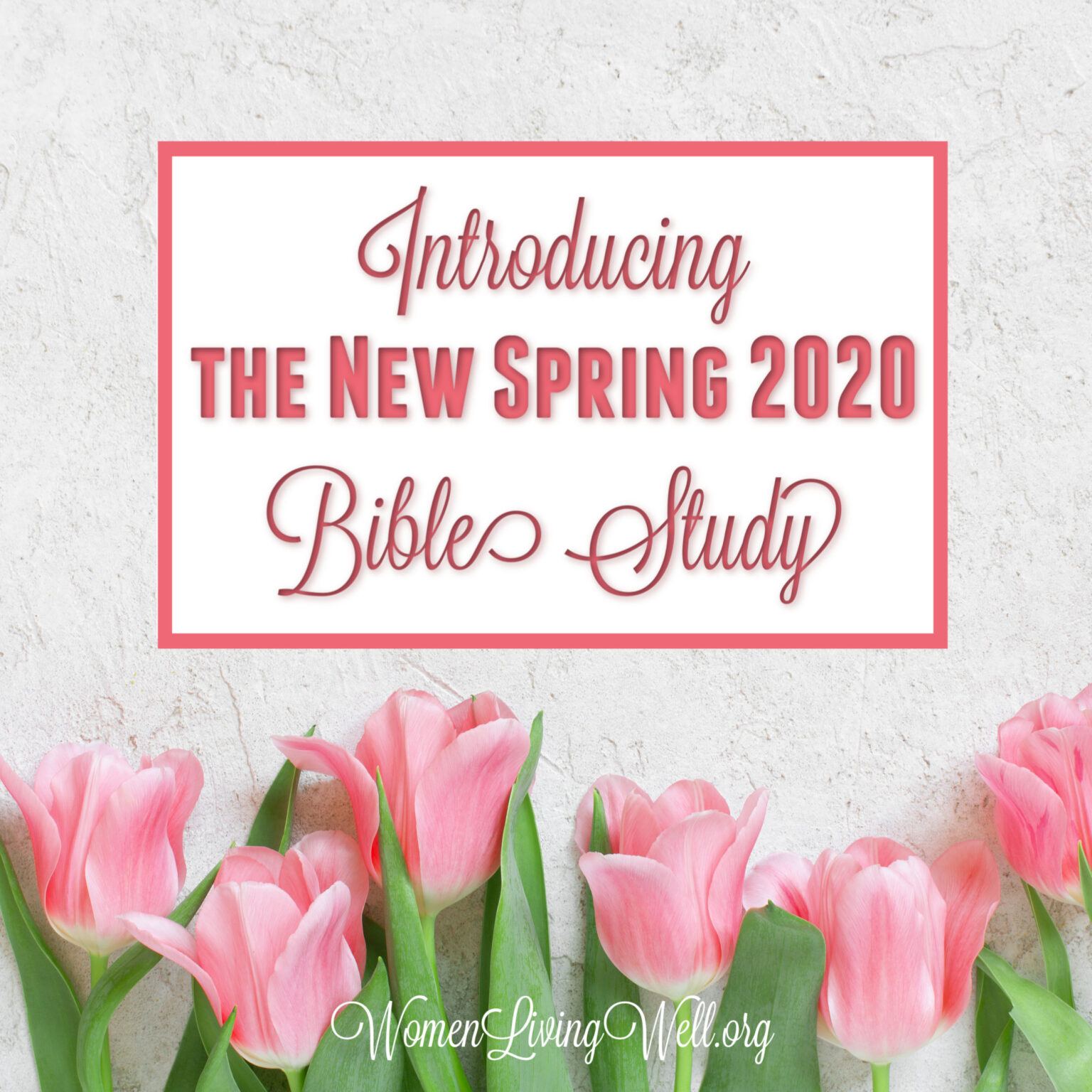 Introducing the New Spring 2020 Bible Study - Women Living Well