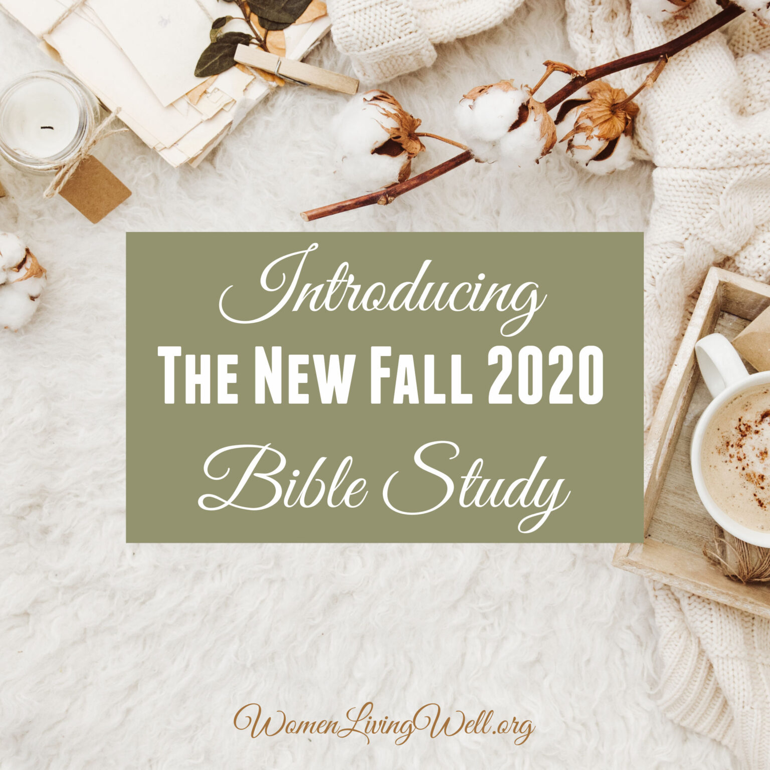 Introducing the New Fall 2020 Bible Study - Women Living Well