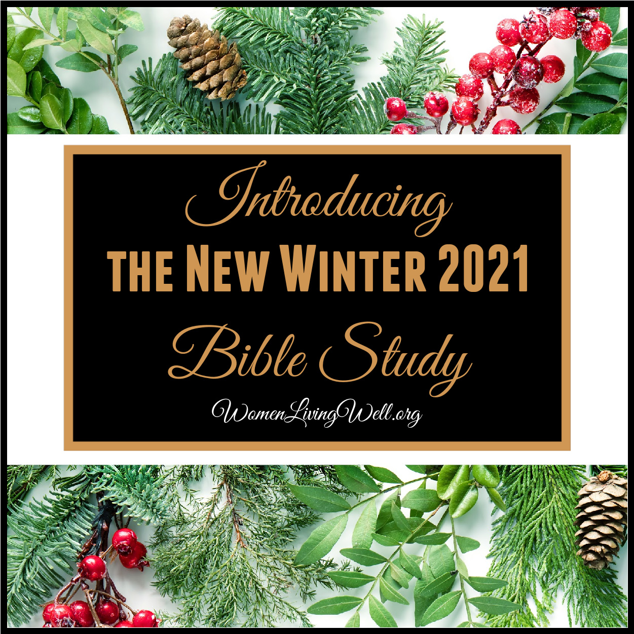Introducing the New Winter 2021 Bible Study - Women Living Well