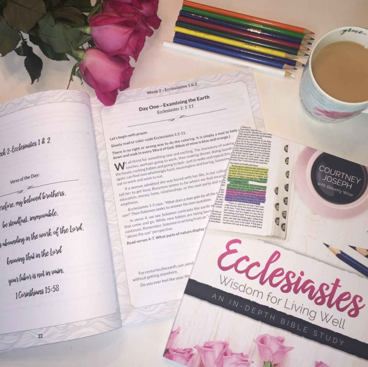 Ecclesiastes: An In-Depth Bible Study and FREE Video Series - Women ...