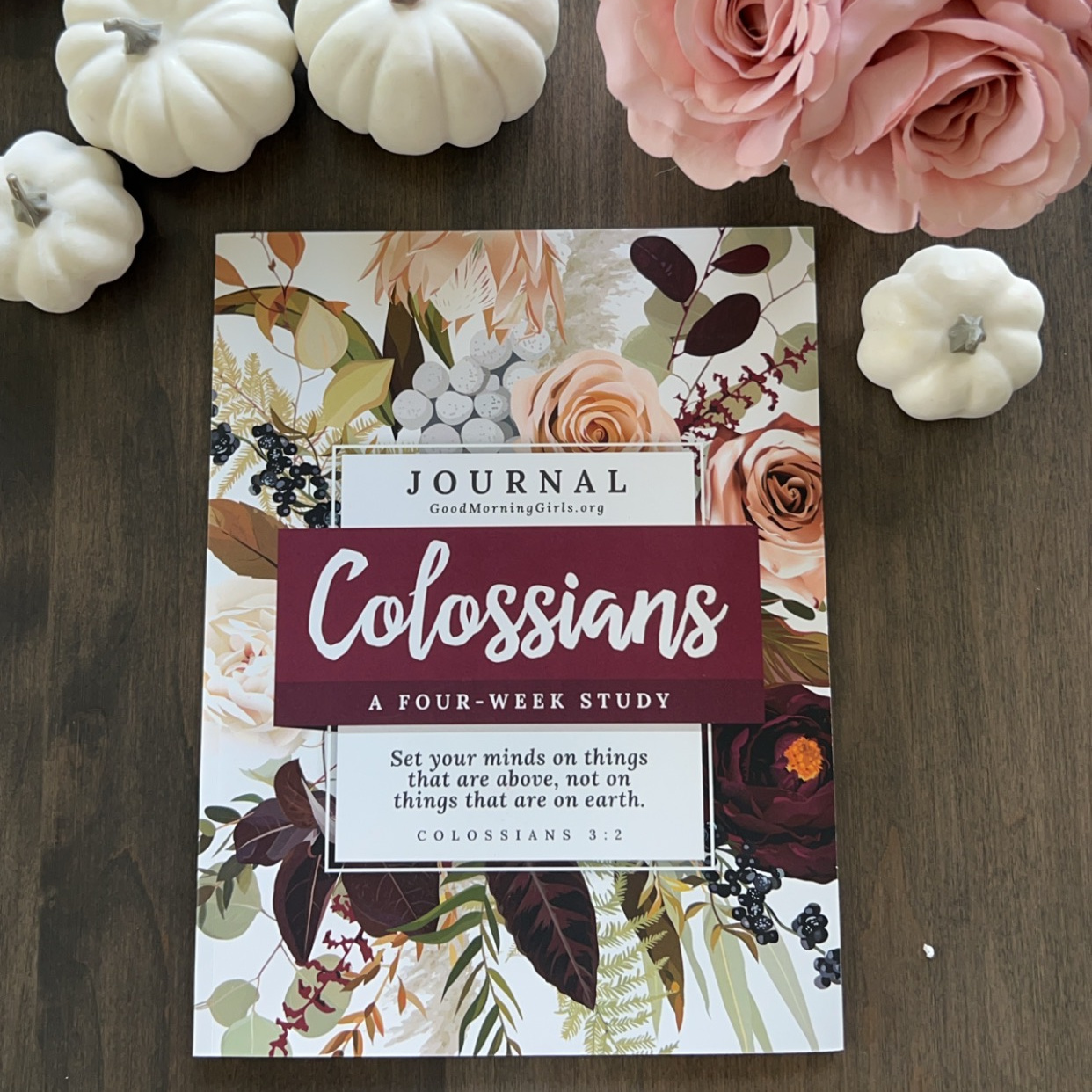Good Morning Girls Resources for the Book of Colossians - Women Living Well