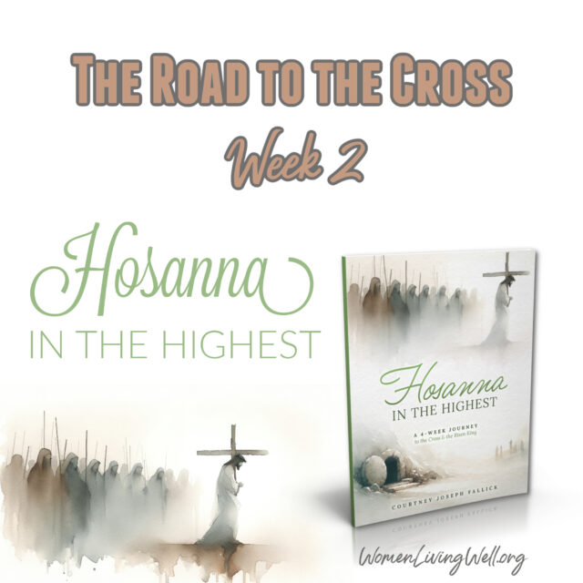 ️ The Road to the Cross (Week 2 - 🌿Hosanna in the Highest🌿) - Women ...